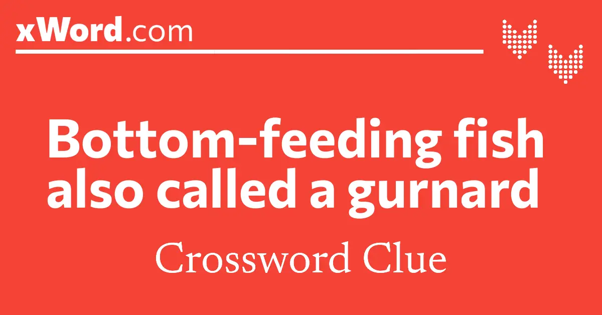 Bottom-feeding fish also called a gurnard Crossword Clue Answers - xWord