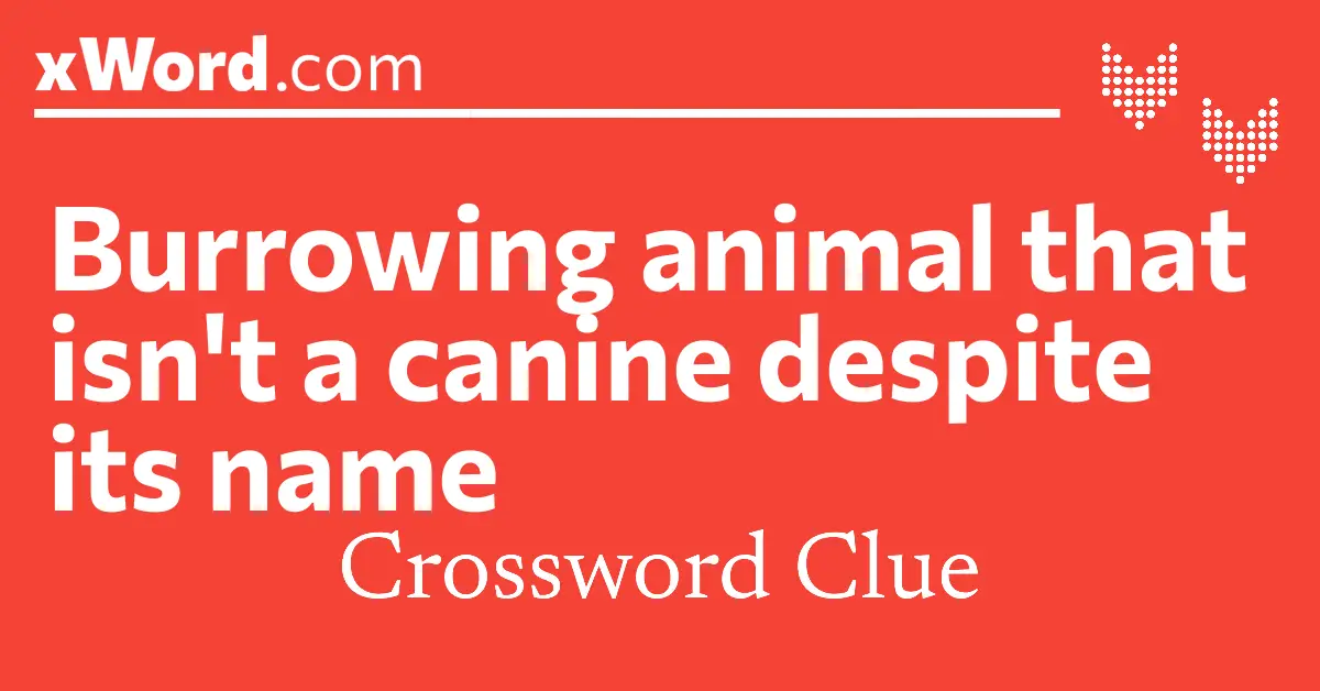 Burrowing animal that isn't a canine despite its name Crossword Clue ...