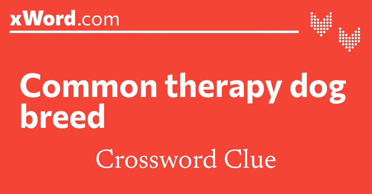 Common therapy dog breed Crossword Clue Answers - xWord