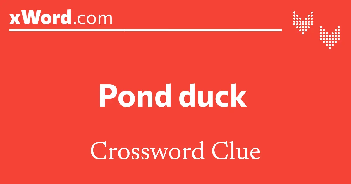 Pond duck Crossword Clue Answers - xWord